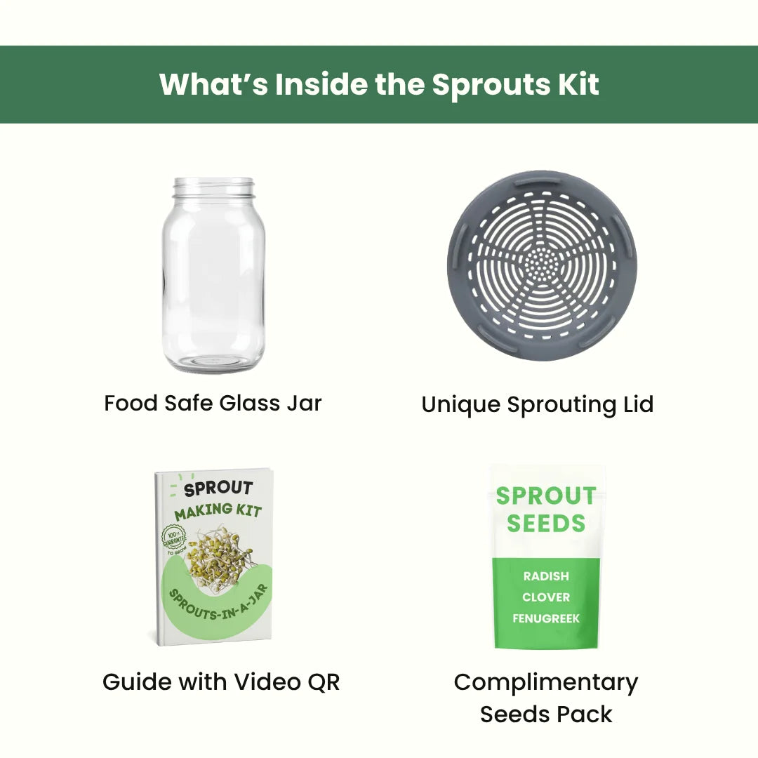 Sprout Maker 700 ml – Glass Sprouting Jar & Guide │ Gutbasket