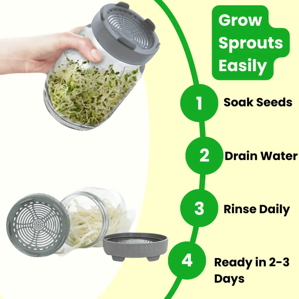 Sprout Maker Sprouting Kit with Glass Jar and Guide – Gutbasket