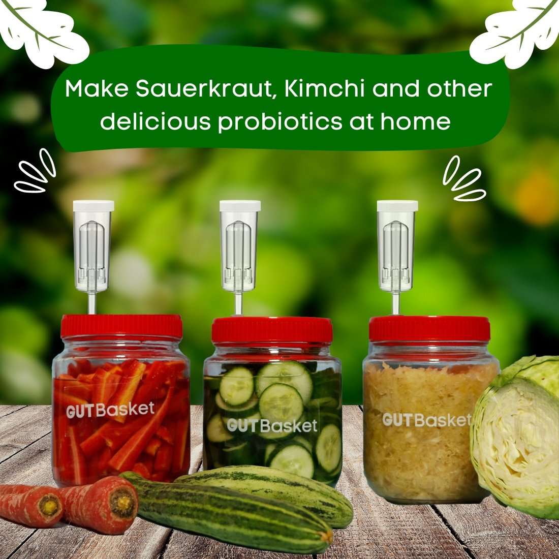Fermented Vegetable Kit with glass weights - Gutbasket